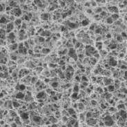 Customised Chromatography Media - Biotoolomics