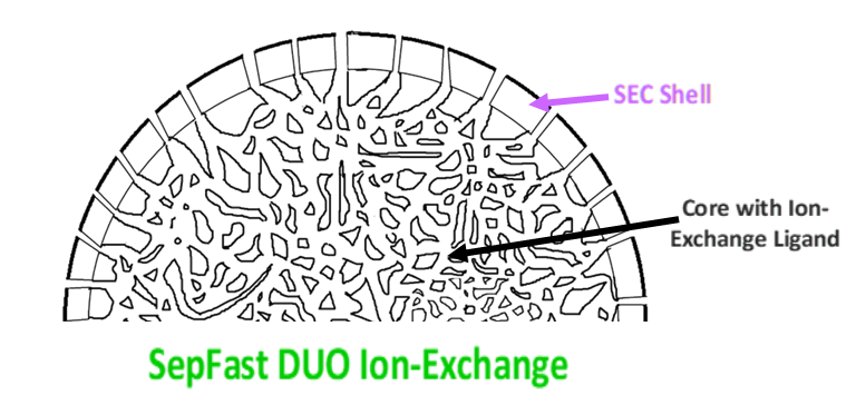 SepFast DUO 5000 | Ion Exchange Media | BioToolomics